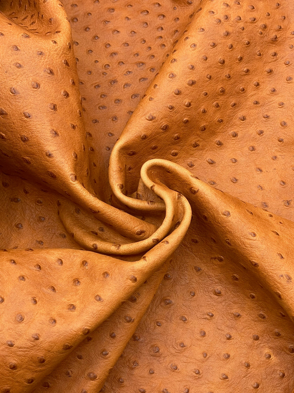 Ostrich-Embossed Cow Veg Tan Leather Shoulders | 2 Colors